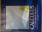 Calculus W/Concepts in Calculus Sixth Edition-Used by Robert Ellis ...